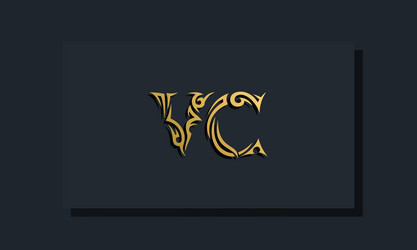 Minimal line art signature letters vc logo Vector Image