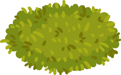Shrubs Plan View Vector Images (86)