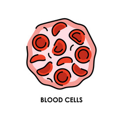 Muscle cells color line icon microorganisms Vector Image