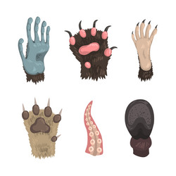 Different animal paw and animalistic claw Vector Image