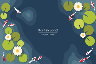 Koi Fish Top View Vector Images (over 160)