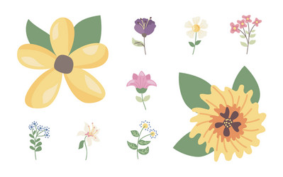 Nine Flowers Vector Images (over 740)