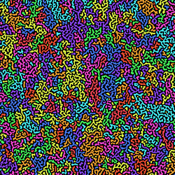 Abstract tropical coral reef reaction diffusion Vector Image