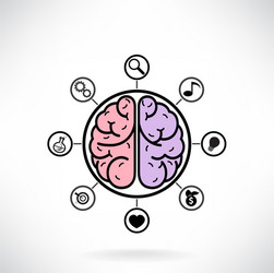 Creative infographics brain function Royalty Free Vector