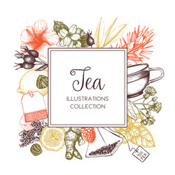 Tea Vector Images (over 270,000)