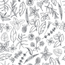 Black herbs seamless pattern Royalty Free Vector Image