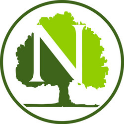 N Tree Vector Images (over 720)