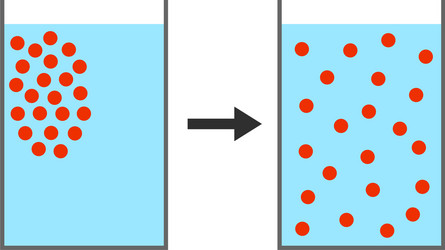 Osmosis Royalty Free Vector Image - VectorStock