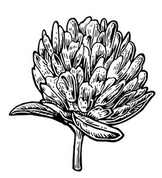 Clover Silhouette Vector Images (over 7,200)