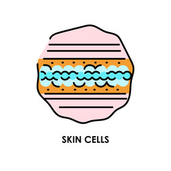 Muscle cells color line icon microorganisms Vector Image