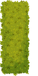 Shrubs Plan View Vector Images (82)