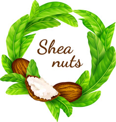 Shea branches frame on white background Royalty Free Vector