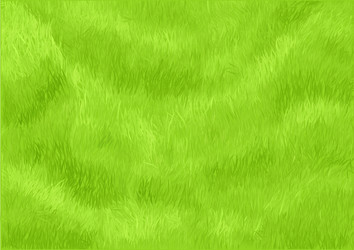 Grassy Background Vector Images (over 1,500)