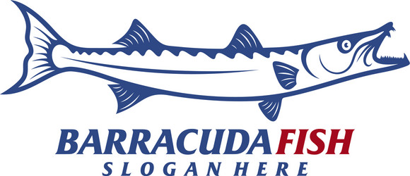 Barracuda Fish Logo Vector Images (78)