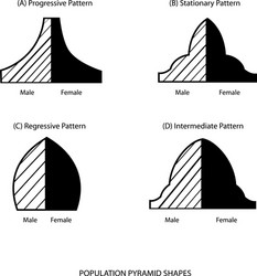 Four different types of population pyramids charts