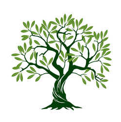 Olive Tree Vector Images (over 13,000)