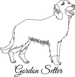 Irish red setter dog outline Royalty Free Vector Image