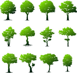 Tree Royalty Free Vector Image - VectorStock