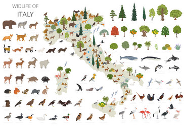 Italy Tree Map Vector Images (70)