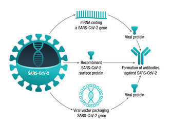 Covid vaccine types rna subunit viral Royalty Free Vector