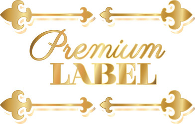 Premium label divider ornament gold design Vector Image