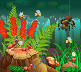 Set different insects living in garden Royalty Free Vector