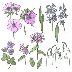 Spring flowers sketch Royalty Free Vector Image