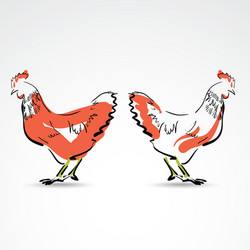Two cute chickens Royalty Free Vector Image - VectorStock