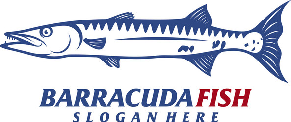 Barracuda Fish Logo Vector Images (78)