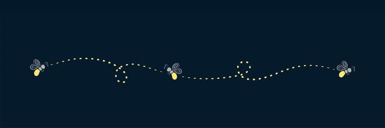 Firefly border divider clipart fireflies flying Vector Image