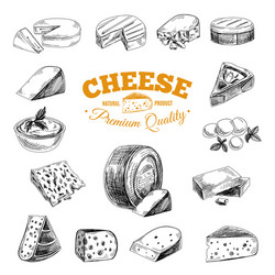 Hand drawn cheese doodle appetizers and food Vector Image