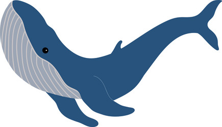 Humpback Whale Clipart