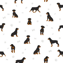 Rottweiler clipart different poses coat colors set