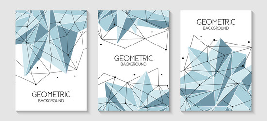 Polygonal wireframe mesh futuristic with rocket Vector Image