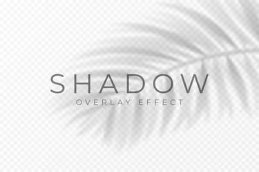 Shadow Overlay Vector Images (over 9,000)