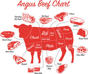 Beef cuts Royalty Free Vector Image - VectorStock