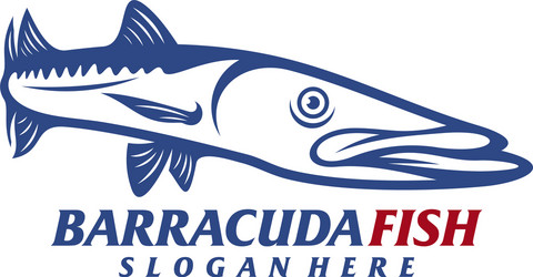 Barracuda Fish Logo Vector Images (78)