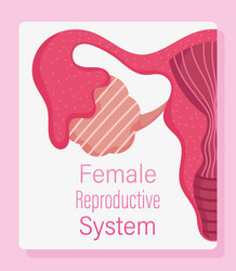 Female Reproductive System Vector Images (over 4,300)