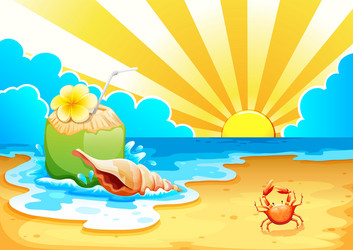 An airplane at the beach Royalty Free Vector Image