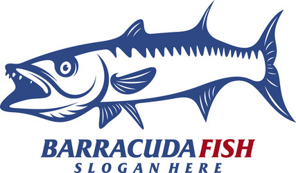 Barracuda Logo Png