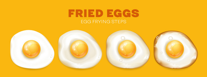 Fried eggs set Royalty Free Vector Image - VectorStock