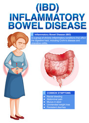 Inflammatory bowel disease ibd infographic Vector Image