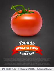 Tomato and text Royalty Free Vector Image - VectorStock