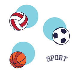 Mixed sport and recreation labels Royalty Free Vector Image