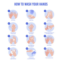 Hand washing steps infographic Royalty Free Vector Image