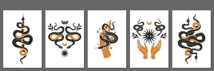 Black and white boho composition with snake Vector Image