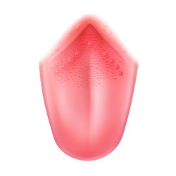 Human tongue Royalty Free Vector Image - VectorStock