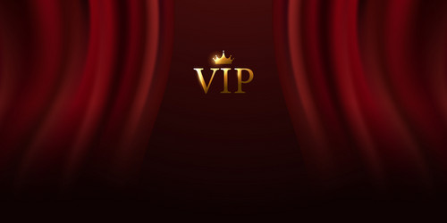 Luxury design vip background Royalty Free Vector Image