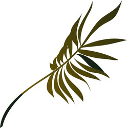 Fan palm Royalty Free Vector Image - VectorStock
