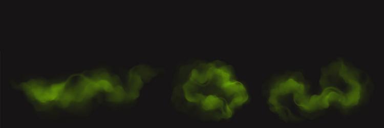 Realistic green gas clouds on transparent Vector Image